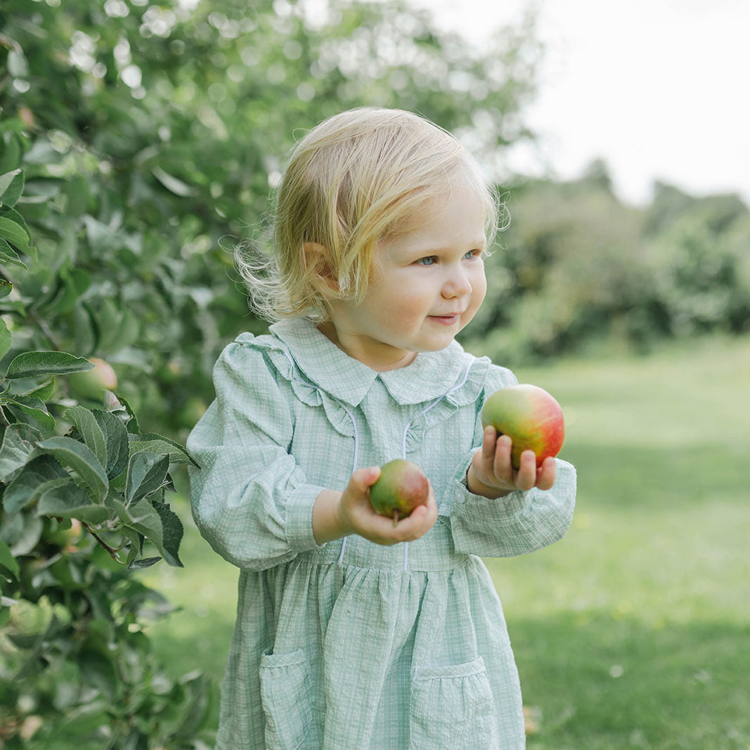 Annie Dress - Green – Elfie London